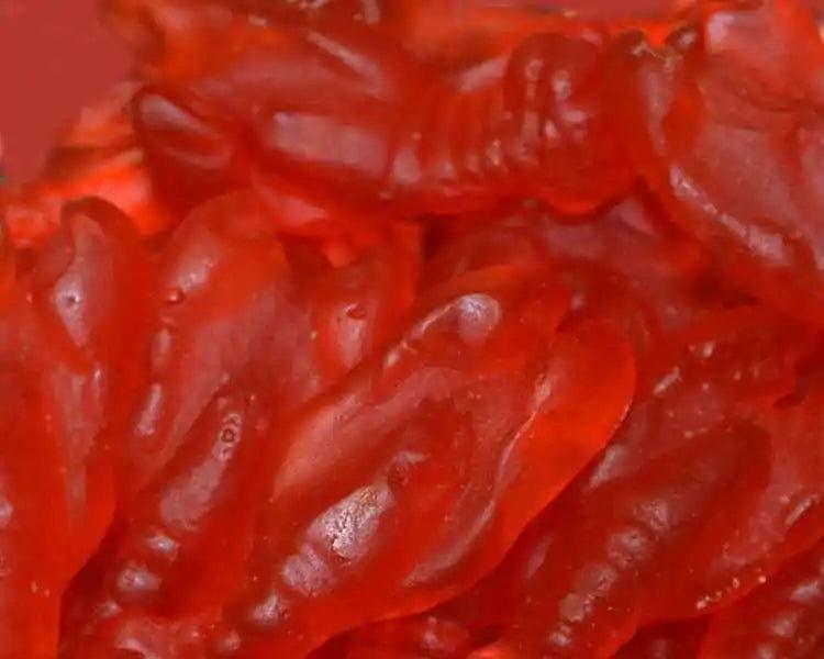 Gummi Candy Creatures – Candy Favorites