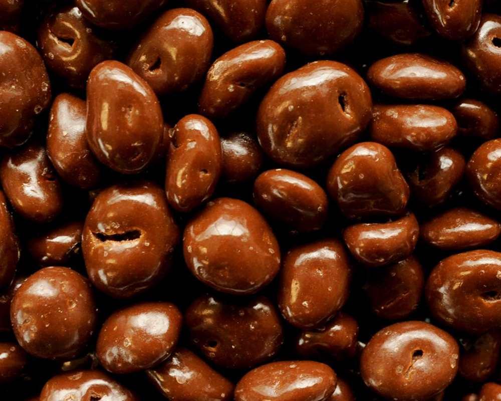 Brach's Chocolate Covered Raisins | California Raisins - 5 lb. – Candy ...