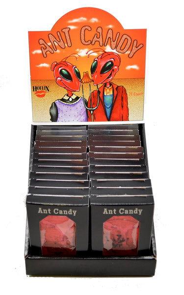 Cherry Ant Candy - 24 / Box – Candy Favorites