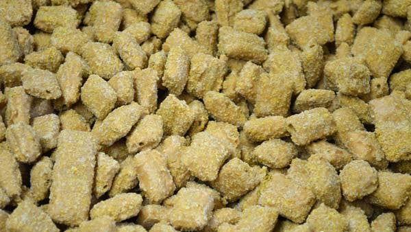 Necco Coconut Crunch Peanut Butter Logs - 5 lb. – Candy Favorites