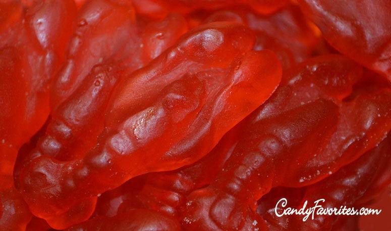 Animal Candy – Candy Favorites