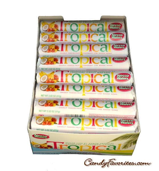 Tropical Necco Wafers - 24 / Box – Candy Favorites
