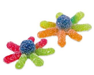 Fini Sweets Sour Gummi Octopus Candy - 5 lb. – Candy Favorites