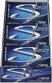Stride Winterblue Sugarfree Gum - 12 / Box – Candy Favorites