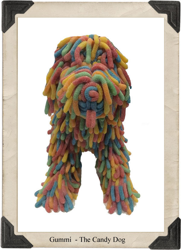 Candy Coated Bonz Dog Bones - 5 lbs. – Candy Favorites